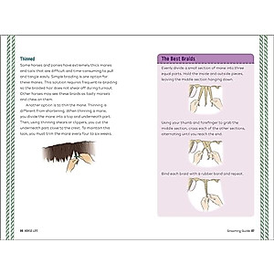 Horse Life: The Ultimate Guide to Caring for and Riding Horses for Kids