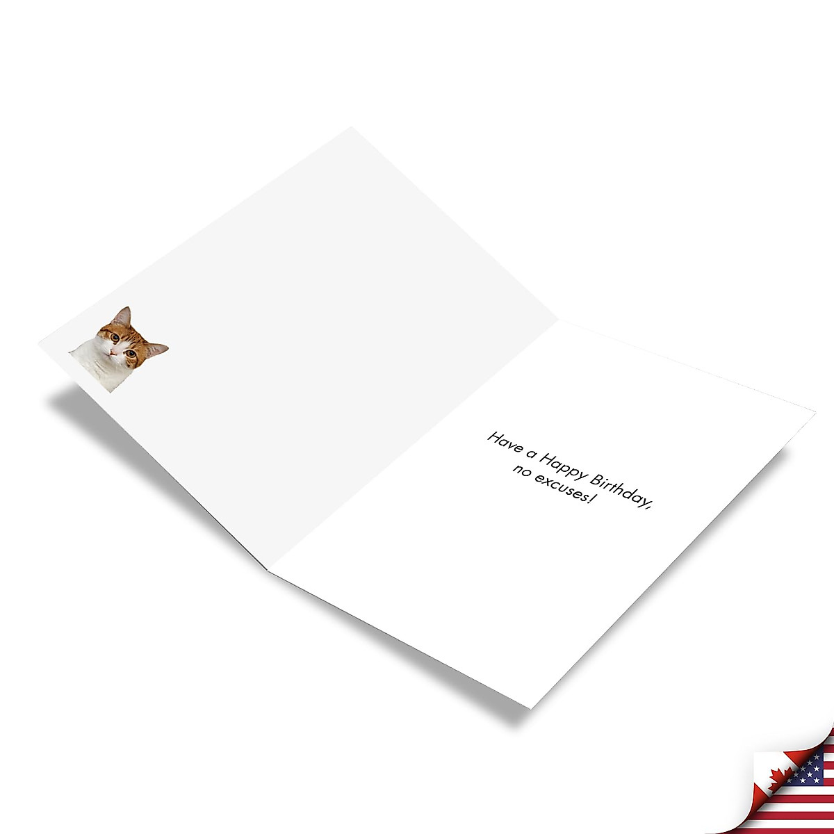 NobleWorks - 1 Funny Retro Birthday Greeting Card - Women's Birthday Celebration Humor, Vintage Notecard - Unsupervised Cat C9369BDG