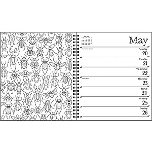 Johanna Basford 12-Month 2024 Coloring Weekly Planner Calendar: A Special Collection of Whimsical Illustrations