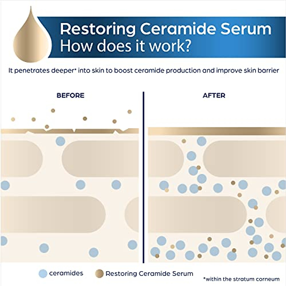 Dove Body Love Pampering Body Lotion for Silky, Smooth Skin Shea Butter Softens and Smoothes Dry Skin, White, 13.5 Oz, 3 Count