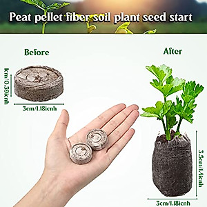10 Pack Seed Starter Tray 120 Cells Total Tray 150 Peat Soil Peat Pellets for Seedlings Plant Grow Seed Box Tray with Adjustable Humidity Dome Base Garden Propagator Set for Plant Germination Growing