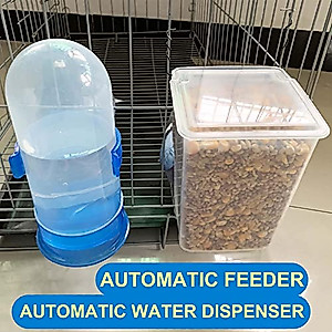 Automatic Pigeon Bird Feeder and Water -Parrot Feeder Water Cage Accessories Supplies for Parakeet Canary Cockatiel Finch