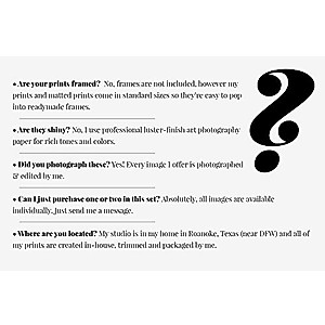 LISA RUSSO FINE ART Black and White Wall Art Set of 3 5x7” Prints, Unframed, Black and White Minimalist Ocean, Clouds, Nautical Pictures for Office, Bedroom, Bathroom Walls