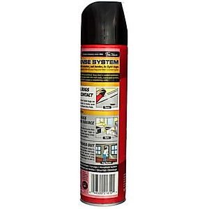 Raid Ant and Roach Kills on Contact No Lingering Chemical Odor Outdoor Fresh Scent 12 Oz. (1 Each)