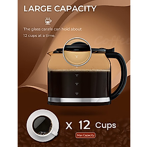 SIMOE Programmable Coffee Maker, 12-Cup Coffee Machine with Timer and Glass Carafe, Keep Warm, Brew Strength Control, Anti-Drip System, Black with Stainless Steel