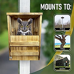 SDMOutdoor North American Screech Owl House, Wooden Owl Nesting Box, Screech Owl, Barn Owl. No Assembly Required Includes All Hardware. Cedar Nesting Box.