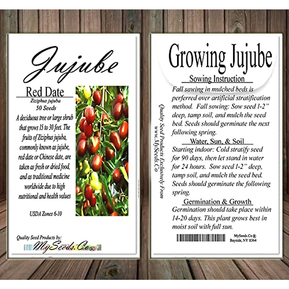 MySeeds.Co - BIG PACK Seeds Big Pack Survival Flower Fruit Garden Seeds, Exotic Rare Non-GMO and Heirloom Variety Limited Quantity, You Choose The Color (Jujube)