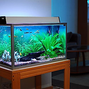 Akfix 100AQ Aquarium Safe Silicone Sealant - Waterproof Bond to Glass, Clear 100% Silicone Sealer for Freshwater & Saltwater Aquarium, Solvent-Free, Non-Toxic | 2 - Pack, 9.5 Oz. Transparent