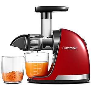 AMZCHEF Slow Masticating Juicer Bundle with Meat Grinder Attachment,Cold Press Juicer With Silent Motor and Reverse Function,with Sausage Stuffer Tubes and Grinding Plates