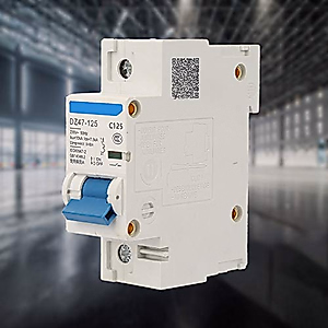 YWBL-WH Circuit Breaker DZ47-125 1P Current 30mA Leakage Air Switch 0.1S 7.5KA (125A)