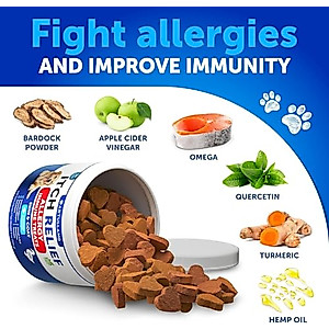 Dog Allergy Relief Chews - Itch Relief for Dogs - Fish Oil - Omega 3 - Itchy Skin Relief - Seasonal Allergies - Anti Itch Support & Hot Spots - Immune Health Supplement for Dogs - Made in USA