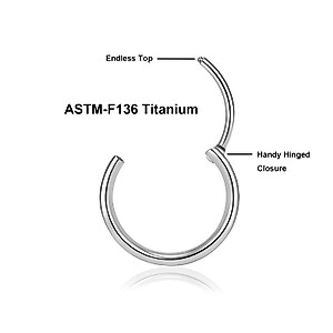 LovePiercing ASTM-F136 titanium earrings small hoop earrings for women septum rings nose rings 20G Silver(20G 14MM)