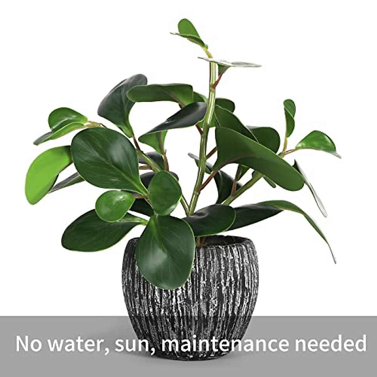 LORYDECO Artificial Potted Plants, Real Looking Fiddle Leaf Fake Plant with Pot, Plastic Watercress Leaves Small Faux Trees with Cement Planter, Greenery Plant Table Decor for Home Indoor