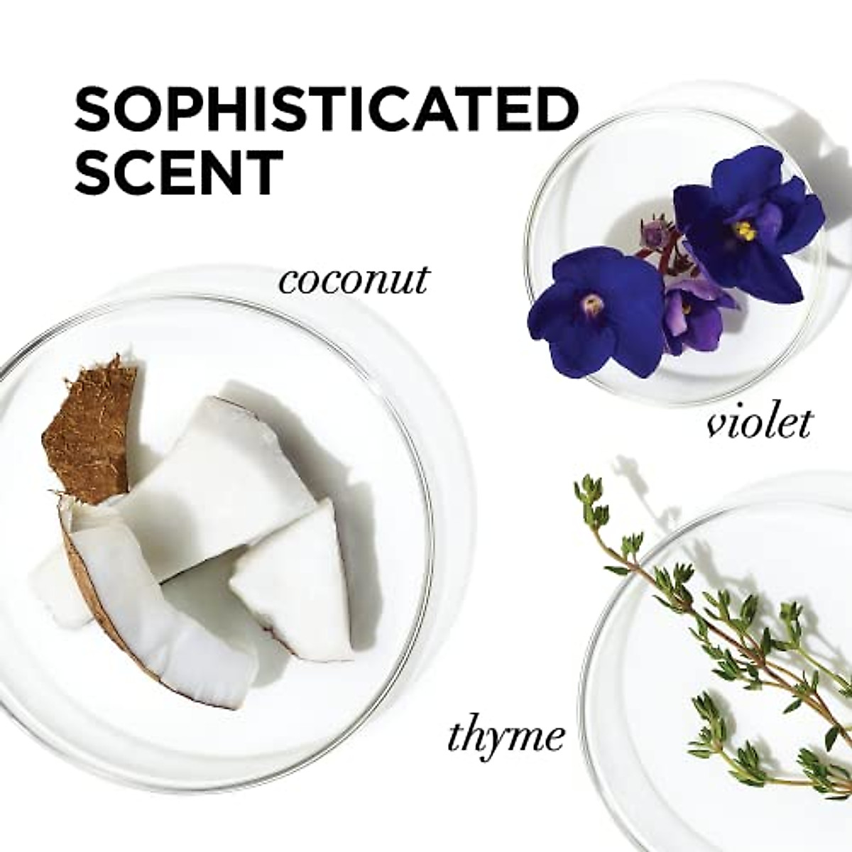 L'Oreal Paris EverPure Sulfate Free Brass Toning Purple Shampoo for Blonde, Bleached, Silver, or Brown Highlighted Hair, 11 Fl; Oz (Packaging May Vary)