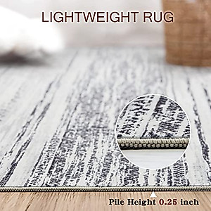 Area Rug Living Room Rugs - 5x7 Washable Large Soft Neutral Boho Moroccan Bohemian Farmhouse Rug Indoor Floor Carpet for Bedroom Under Dining Table Home Office Decor - Grey