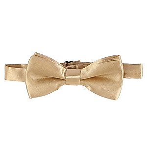 IZKIZF Kids 1920s Costume Fedora Gangster Hat Y-Back Suspenders Bow Tie Wedding Birthday Party Halloween Cosplay Outfit 2-6T Coffee