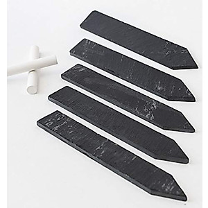 Indoor / Outdoor Herb Garden Kit - Classic Wood Planter Box with Herb Seeds, Plant Stakes and Expanding Wondersoil - 16" Long x 6" Wide x 6" Tall (will fit in windowsill up to 6" deep) (Cedar Wood)