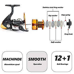 Burning Shark Fishing Reels- 12+1 BB, Light and Smooth Spinning Reels, Powerful Carbon Fiber Drag, Saltwater and Freshwater Fishing-TT2000