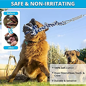 Spring Pole Dog Rope Toys: Dog Rope Pull & Tug of War Toy with a Big Spring Pole Kit & 2 Strong Dog Rope Toys & 16ft Rope - Muscle Builder Interactive Dog Toy for Pitbull Medium to Large Dog