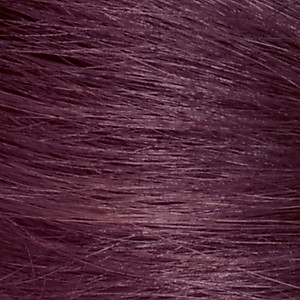 Revlon ColorSilk Hair Color, 48 Burgundy 1 ea (Pack of 4)