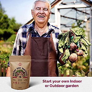 10 Rare Beet Seeds Variety Pack for Planting Indoor & Outdoors 1000+ Heirloom Non-GMO Bulk Beets Gardening Seeds: Chioggia, Detroit Dark Red, Sugar, Cylindra, Golden, Bulls Blood, White Albino & More