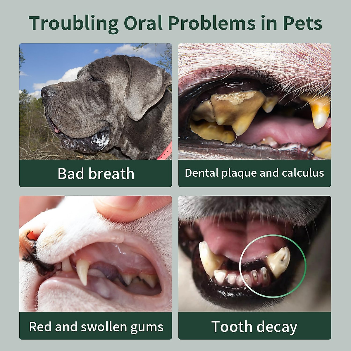 Borgobrufa Dog Teeth Cleaning Wipes, Teeth Cleaning Finger Wipes for Dogs & Cats, Disposable Natural Teeth Care Wipes Gentle Cleaning & Gum Care Pet Wipes Reduces Plaque & Freshens Breath, 55 Pcs