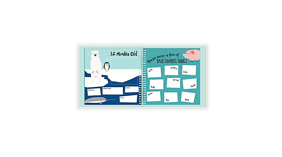 Lucy Darling Baby Memory Book: Capture Your Child's Milestones