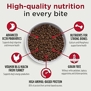 Nulo Freestyle Adult Dog Food, Premium All Natural Grain-Free Dry Small Kibble Dog Food, with BC30 Probiotic for Healthy Digestion, and High Animal-Based Protein with no Chicken or Egg Alternatives