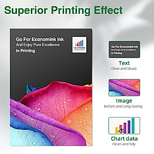 Economink Remanufactured Ink Cartridge Replacement for HP Ink 67 67XL for Envy 6055 6000 6052 6032 6022 for Pro 6455 for DeskJet 2755 2722 2700 2732 2752 2725 2724 2710
