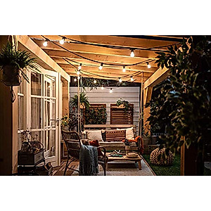 Philips LED Classic Glass Dimmable G16.5 Light Bulb: 350-Lumen, 2700-Kelvin, 3.8 Watt, E12 Base, Warm Glow, 8-Pack