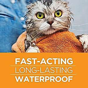 TevraPet Actispot II Flea Treatment for Small and Medium Cats 5-9 lbs | 6 Doses | Powerful Prevention and Control, Clear