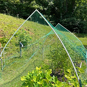 Bird Netting for Garden, 13Ft x 33Ft Green Anti Bird Protection Net, Plant Tree Netting for Protecting Fruit and Vegetables with 50 Ties and 20 Tacks