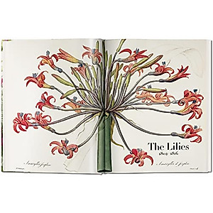 Redouté: The Book of Flowers / Das Buch de Blumen / Le livre des fleurs