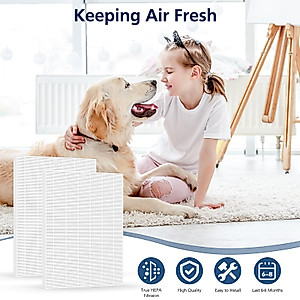 116130 True HEPA Replacement Filter H for Winix 5500-2 AM80 Air Purifier, 4 Pack H13 Grade True HEPA Filter