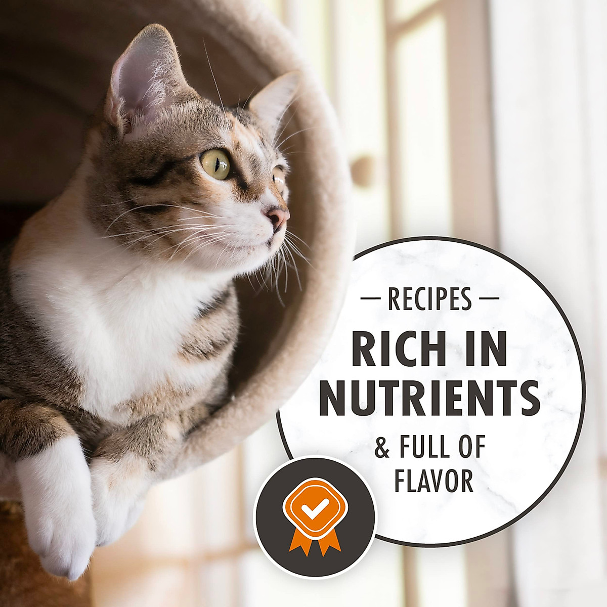 NUTRO WHOLESOME ESSENTIALS Natural Dry Cat Food, Sensitive Cat Chicken, Rice & Peas Recipe Cat Kibble, 5 lb. Bag