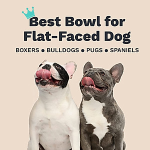 Enhanced Pet Bowl, Stainless Steel Slanted Dog Bowl with Raised Ridge for Flat-Faced Dog Breeds or Cats, Food-Grade Non-Slip No Spill Bowl for Dogs, Less Mess, Less Gas, and Better Digestion, Medium