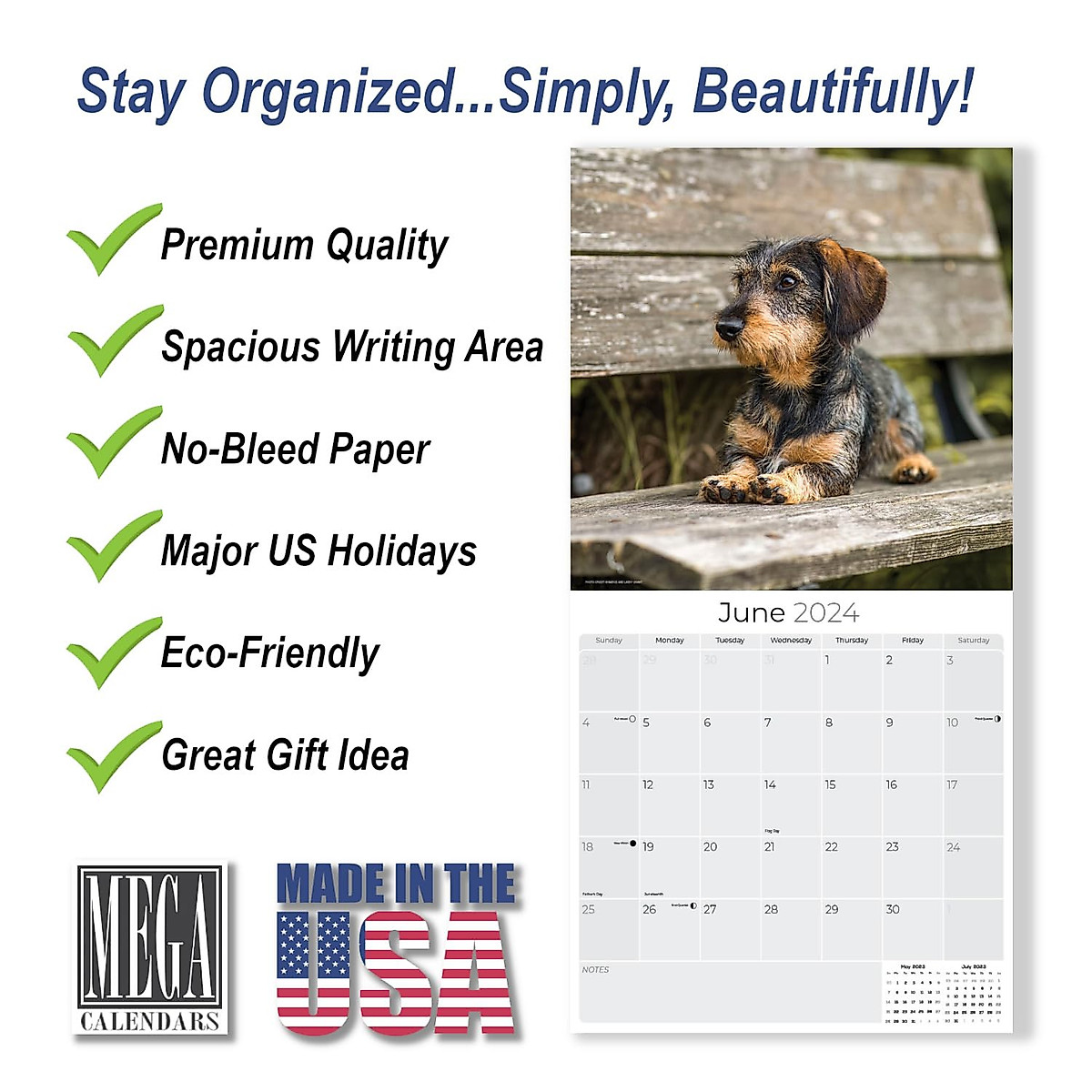 2023 2024 Wirehaired Dachshund Calendar - Dog Breed Monthly Wall Calendar - 12 x 24 Open - Thick No-Bleed Paper - Giftable - Academic Teacher's Planner Calendar Organizing & Planning - Made in USA