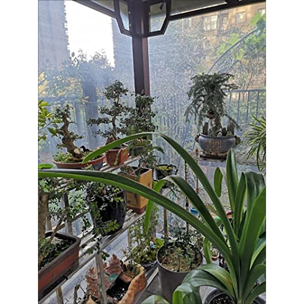 Abrotain Clear Greenhouse Plastic Sheeting Cover Film 3'3"X10' Garden Plant Covers Polyethylene Film Hoop House Green House Cover for Gardening, Farming, Agricultural