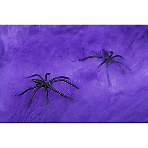 TOYANDONA 5 Sets Halloween Spider Web Stretch Cobweb Spooky Spider Webbing with 2 Fake Spiders for Halloween Decorations