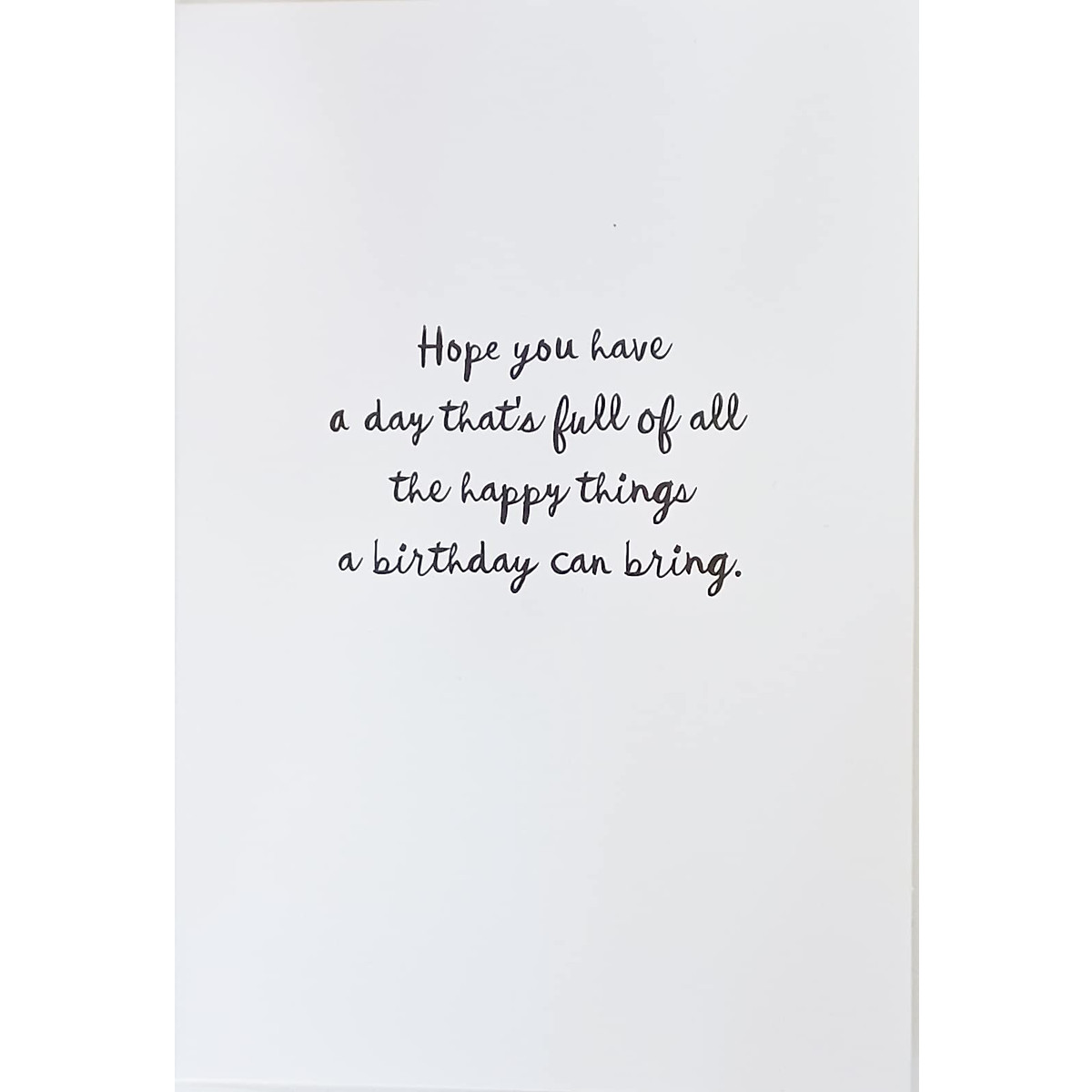 Greeting Card Brother-in-Law You Are A Really Good Guy - Hope You Have Day That's Full of All The Happy Things A Birthday Can Bring