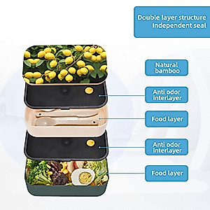 Lemons Premium Bento Lunch Box, 2 Compartments Leakproof Lunch Box With Cutlery For Adults, Microwave & Dishwasher Safe