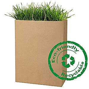 BagDream Paper Bags 13x7x17 50Pcs Gift Bags, Party Bags, Shopping Bags, Retail Bags, Merchandise Bags, Recycled Brown Kraft Paper Bags with Handles Bulk