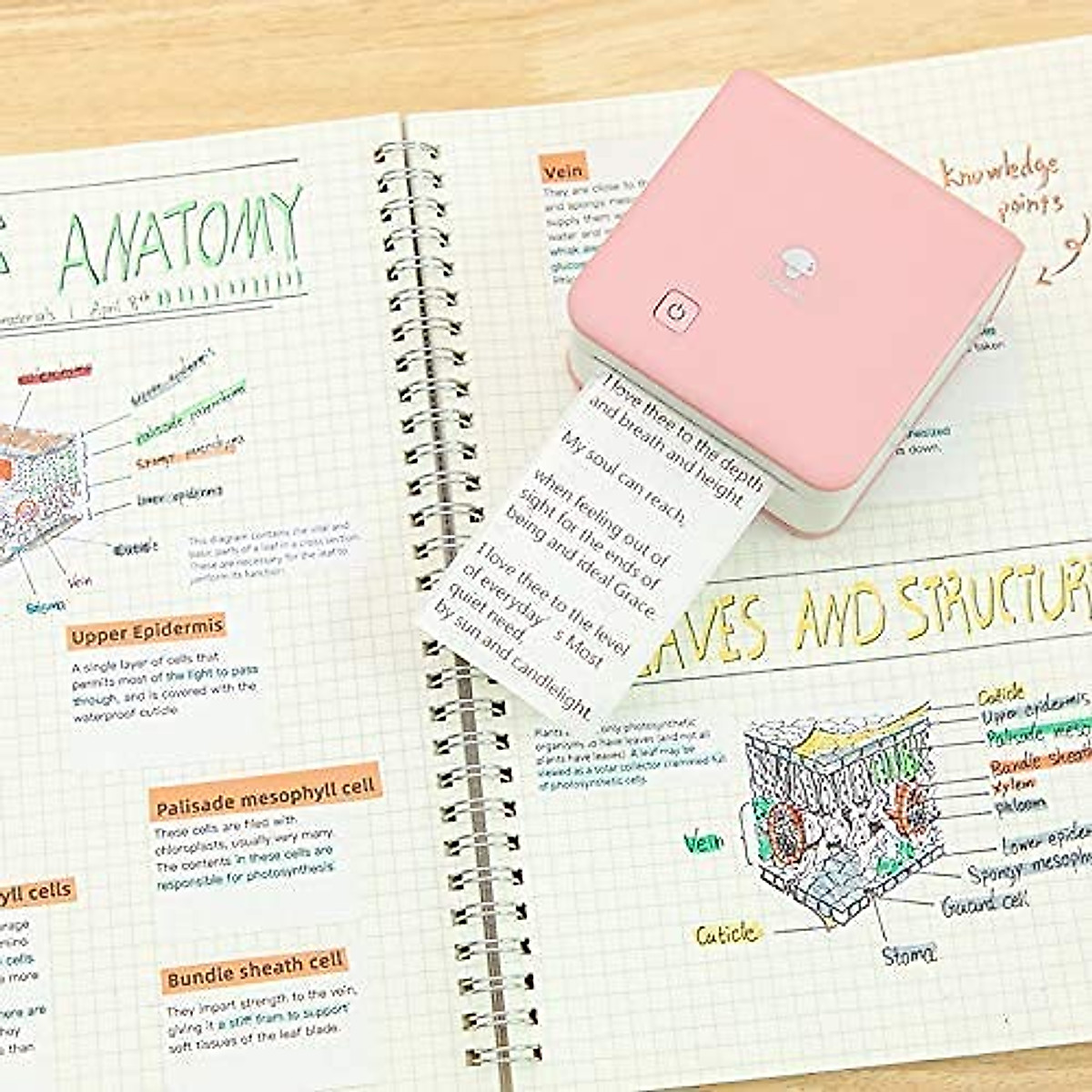 Phomemo M02 Pro Mini Thermal Printer- Bluetooth Photo Printer with 3 Rolls Transparent Sticker Paper, Compatible with iOS + Android for Plan Journal, Study Notes, Art Creation, Work, Gift, Pink