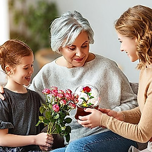 Rose Snow Globe Music Box, Preserved Red Rose Flower Musical Snow Globe LED Light Up Rose Snowglobe Water Globe Rose Gift for Mom Women Girls, Romantic Gift for Valentines,Anniversary,Christmas