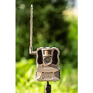 TACTACAM Reveal X PRO Cellular Trail Camera, Verizon and AT&T, NO Glow, Integrated GPS Tracking, Built in LCD Screen, HD Photo and HD Video (X-PRO)