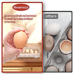 Newness Deviled Egg Containers with Lid, (Set of 2), Plastic Egg Platter for 48 Devil Eggs, Clear Storage Deviled Egg Carrier, Fridge Stackable Countertop Portable Egg Tray