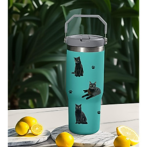 30oz Stainless Steel Vacuum Insulated Water Bottle (Cat-Blue)