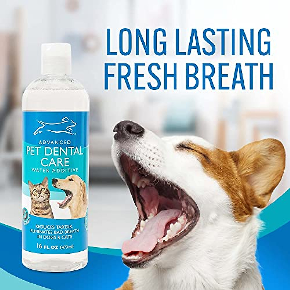 EBPP Advanced Pet Dental Care Water Additive - Premium Cat & Dog Dental Care and Dog Breath Freshener - No Brush Formula Tartar & Plaque Remover for Dogs Teeth