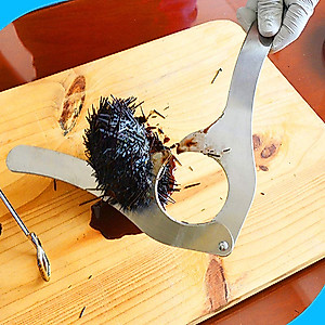 Sea Urchin Cutter-Stainless Steel Sea Urchin Cutter Opener Multifunctional Seafood Tool