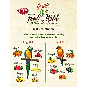 Kaytee Food From The Wild Natural Pet Bird Snack Food Treats For Parakeets, Cockatiels, Lovebirds, and Small Conures, 3 oz